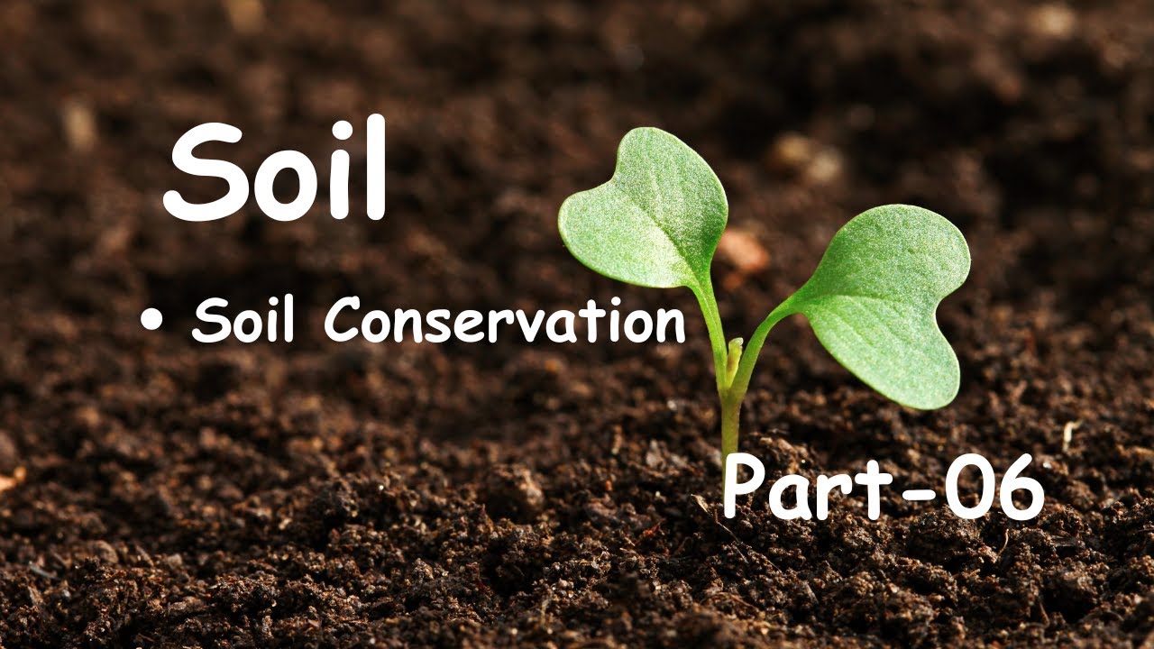Soil-06||Soil Conservation||Methods of Soil Conservation||B.Sc 3rd Yr ...