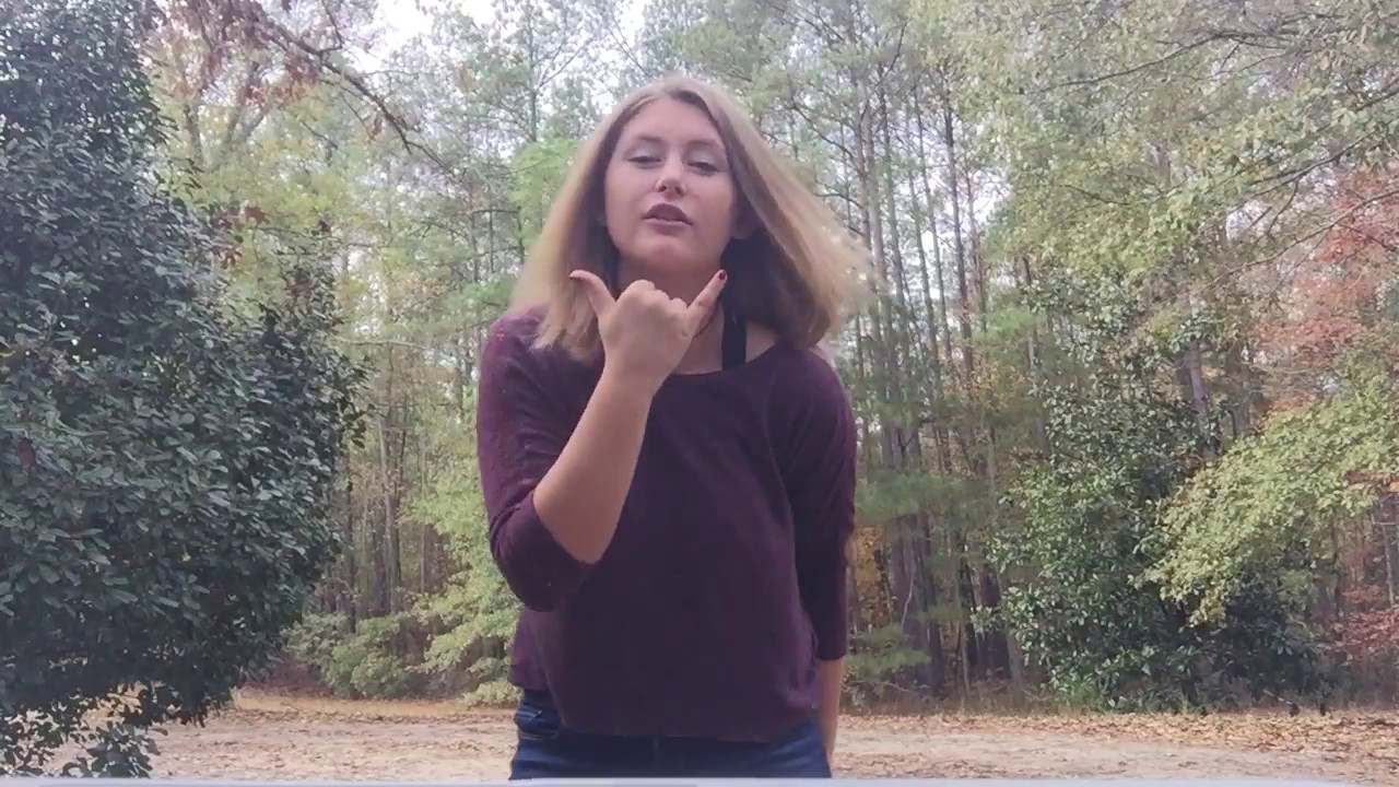 Look What You Made Me Do Sign Language - YouTube