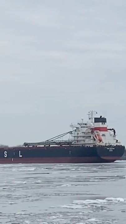 Self Unloading Bulk Carrier “CSL Tacoma” on the Delaware River - YouTube