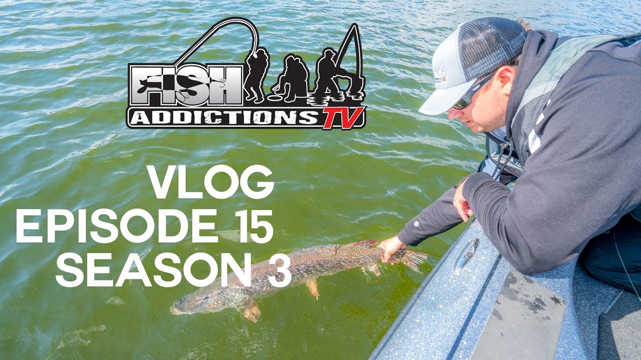 Fish Addictions Tv - Vlog - Episode 15 - YouTube