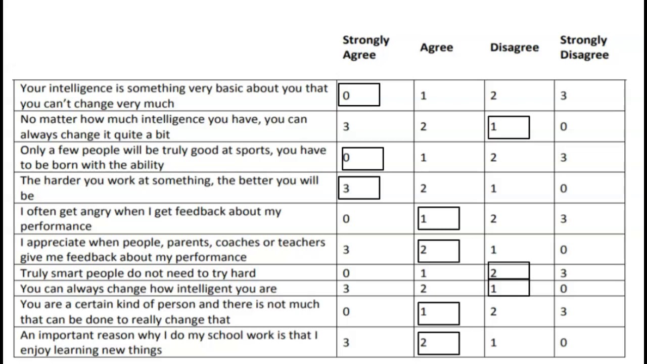 mindset assessment profile - YouTube