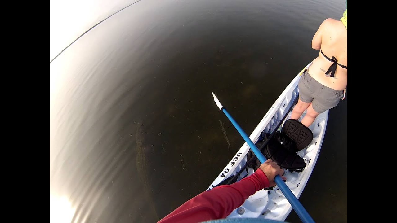 Mosquito Lagoon Gator - YouTube