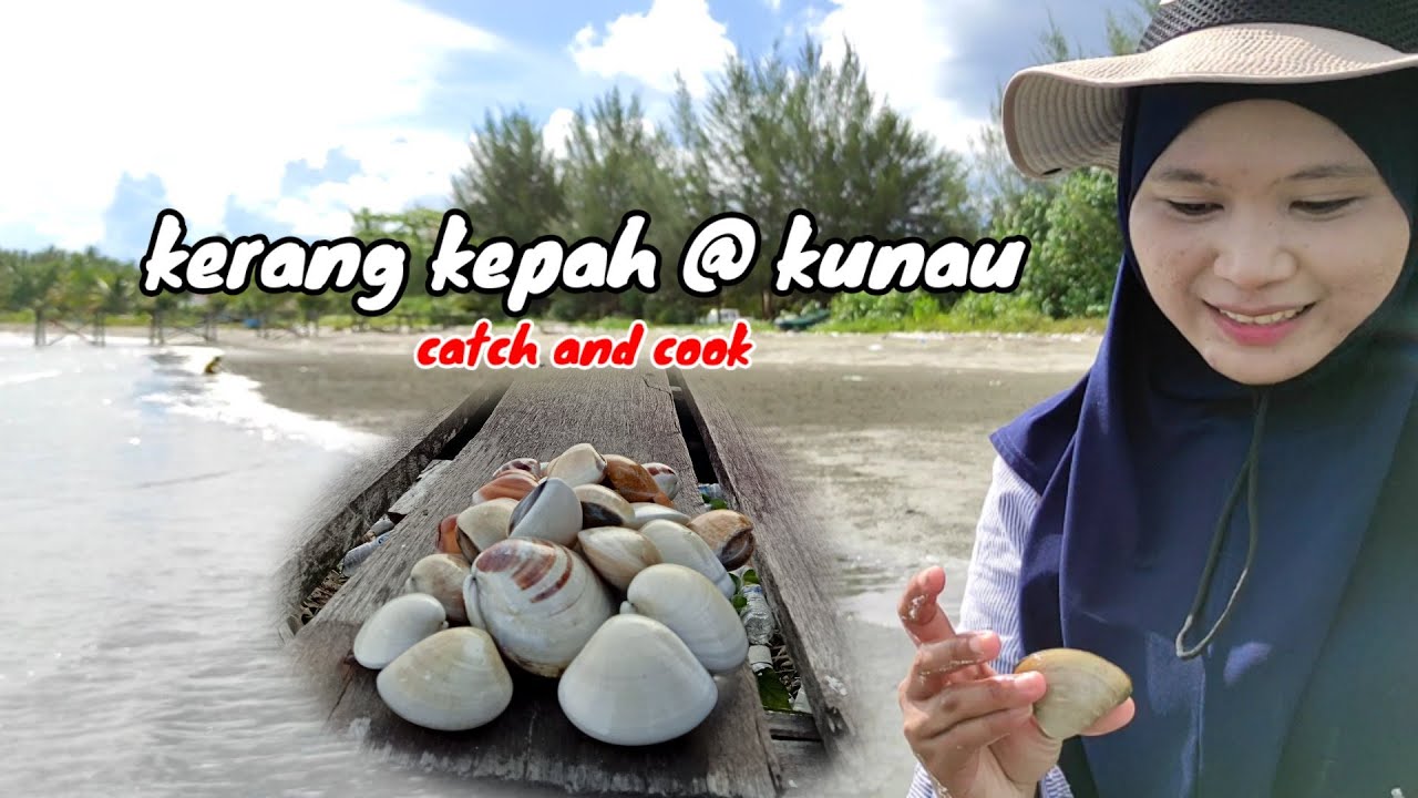 Mencari kepah @ kunau dapat banyak,terus masak - YouTube