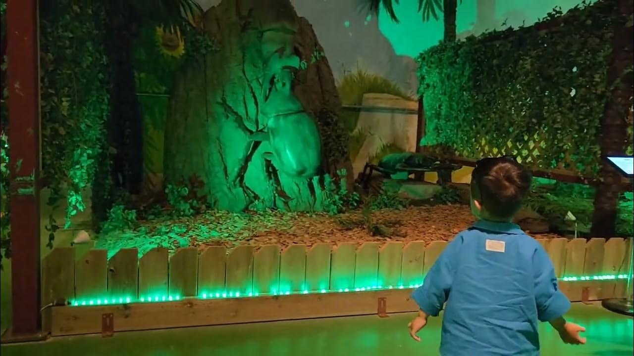 이천 덕평공룡수목원 거대곤충 Youtube