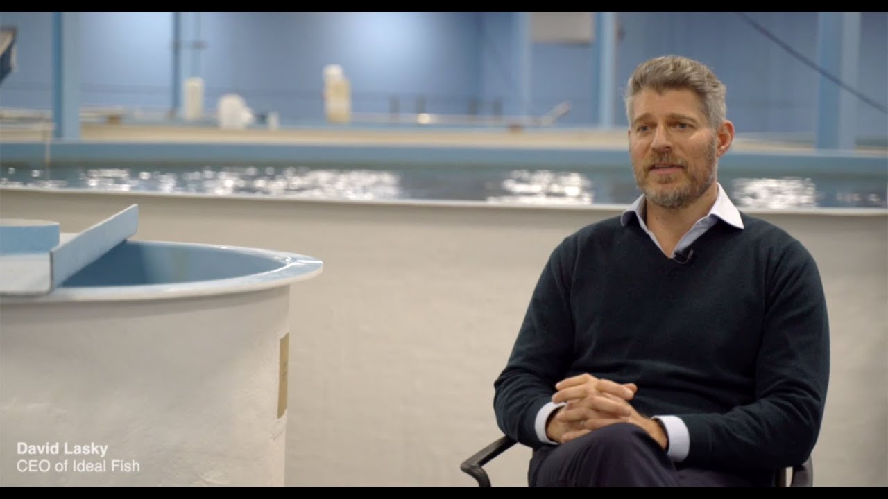 David Lasky on RAS Technology - YouTube