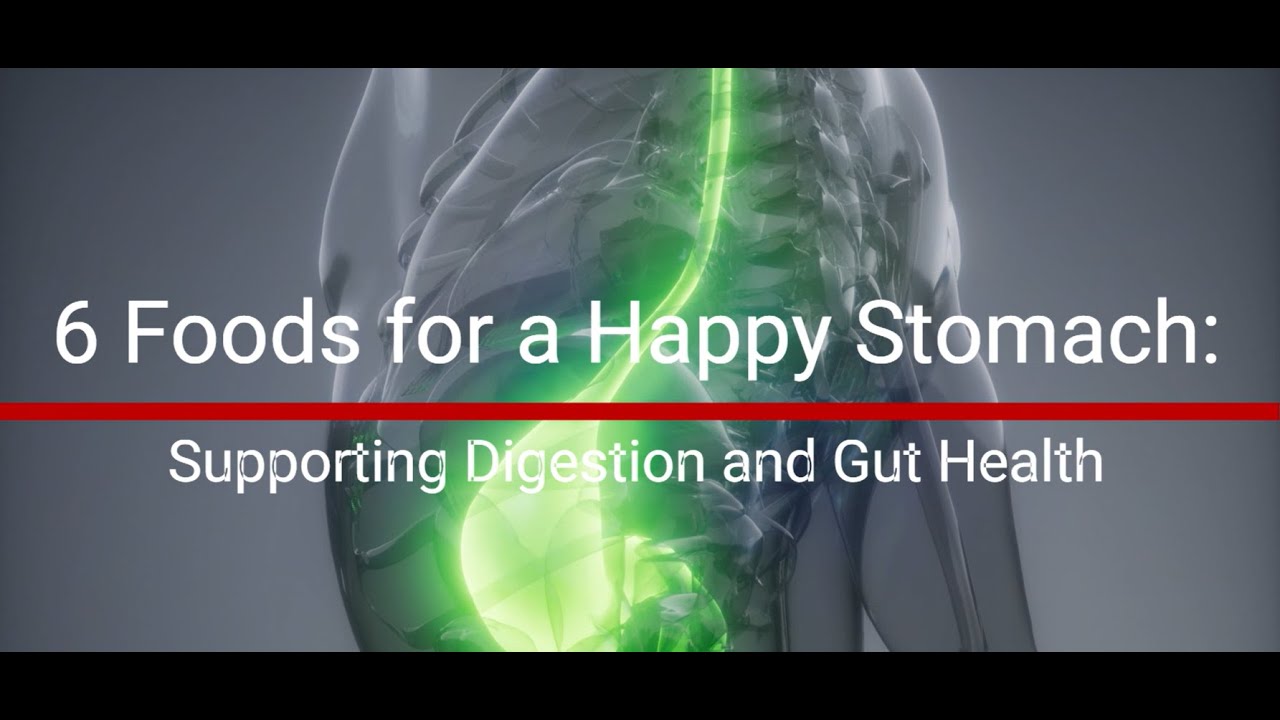 Foods for a Happy Stomach Supporting Digestion and Gut Health - YouTube