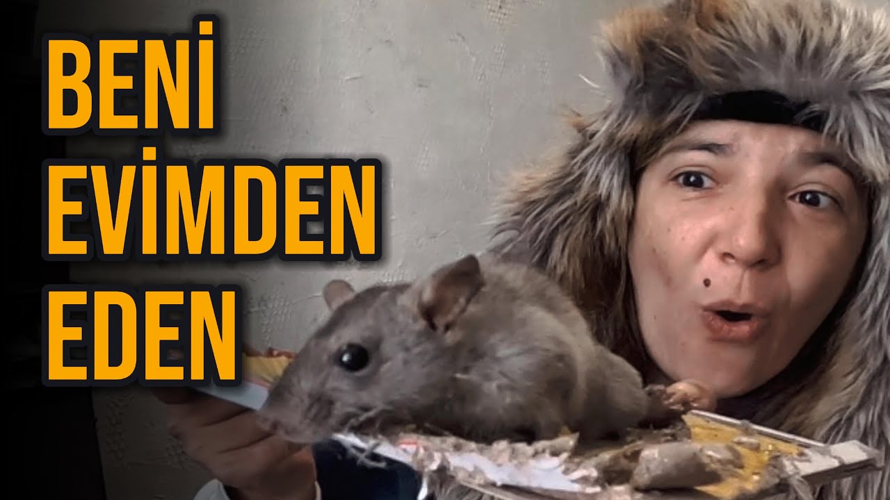 Beni Evimden Etti ama Kurtulamadı-Bulgaristan #mause #camping #travel # ...