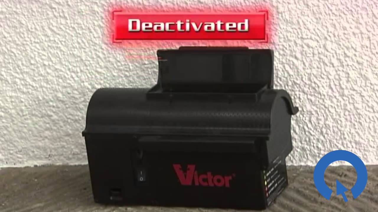 The Arrow - Victor Multikill - YouTube