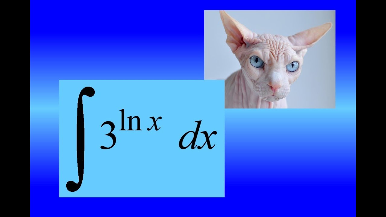 STANDARD The integral of 3^lnx - YouTube