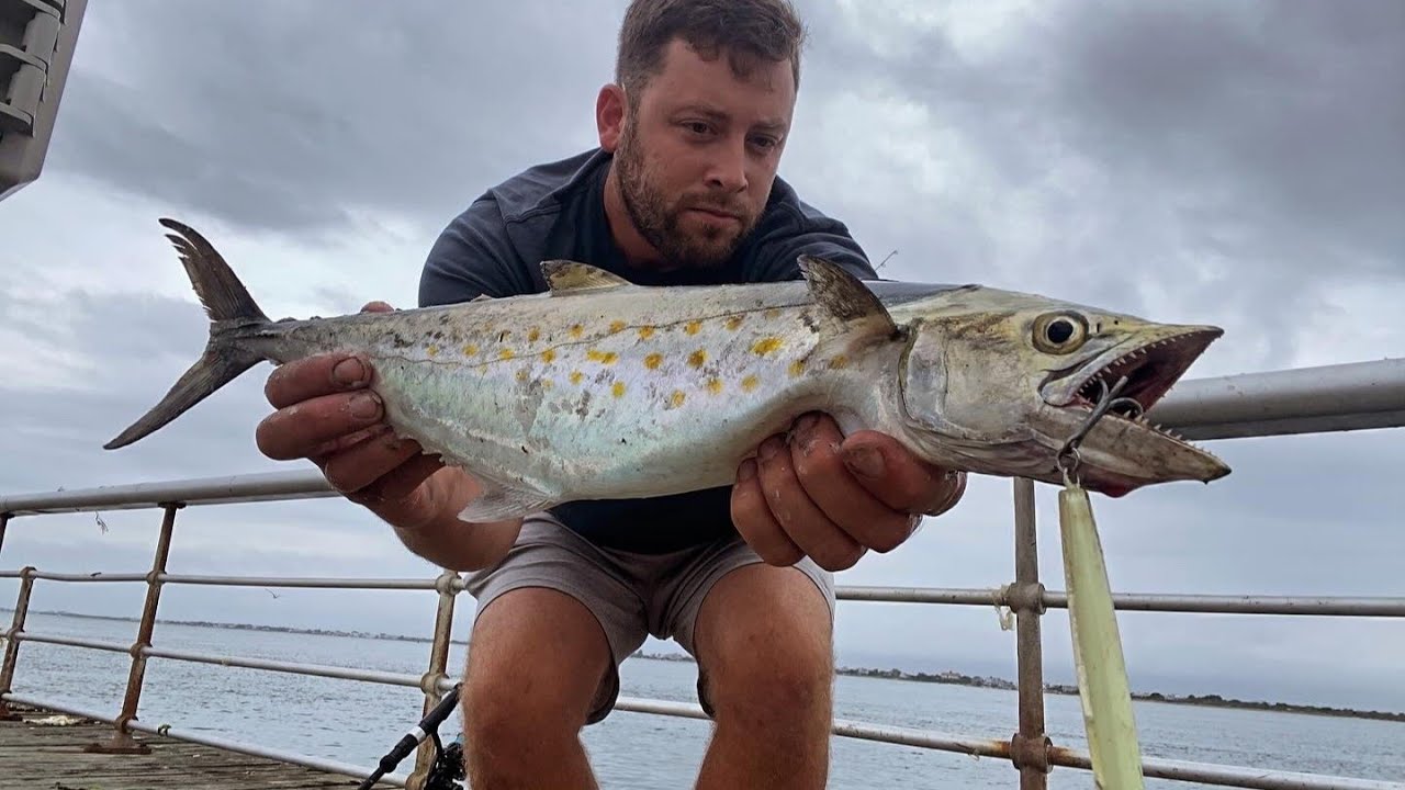 Big Spanish Mackerel 9/1/24 Surf Fishing Long Island, New York - YouTube