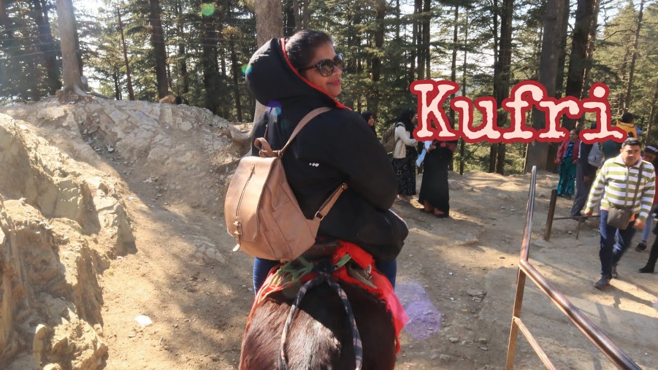 Is it worth visiting Kufri ? | Himachal | PJ Rides | Travel - YouTube