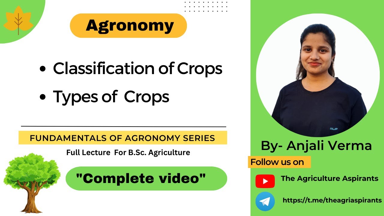 Classification of crops in Agronomy | BSc Agriculture | 1st sem - YouTube