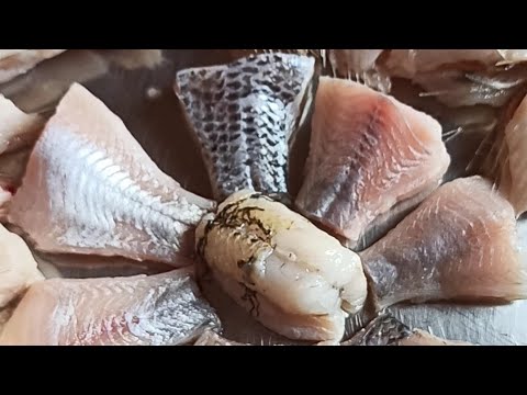 Jilebi Fish recipe | Tilapia fish Recipe |மீன் குழம்பு - YouTube