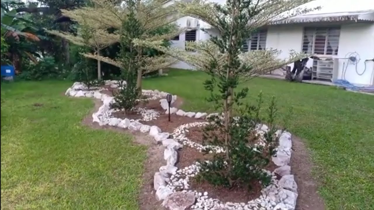 Bucida Batik Gardening on landscaping . - YouTube