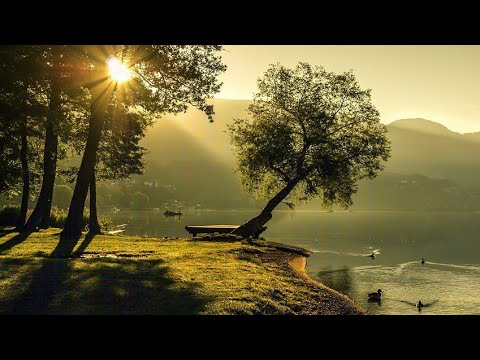 New full screen 4k sunrise WhatsApp status video with song || HD WhatsApp status