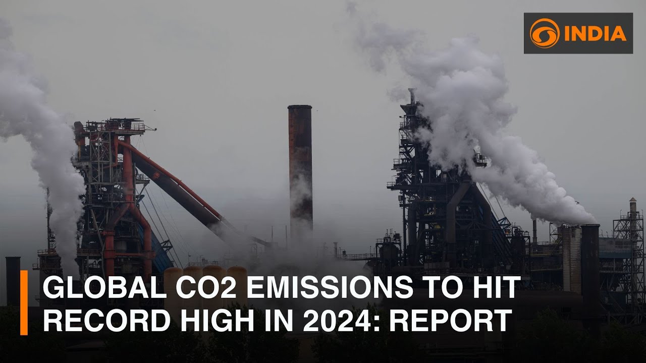 Global CO2 emissions to hit record high in 2024: Report - YouTube