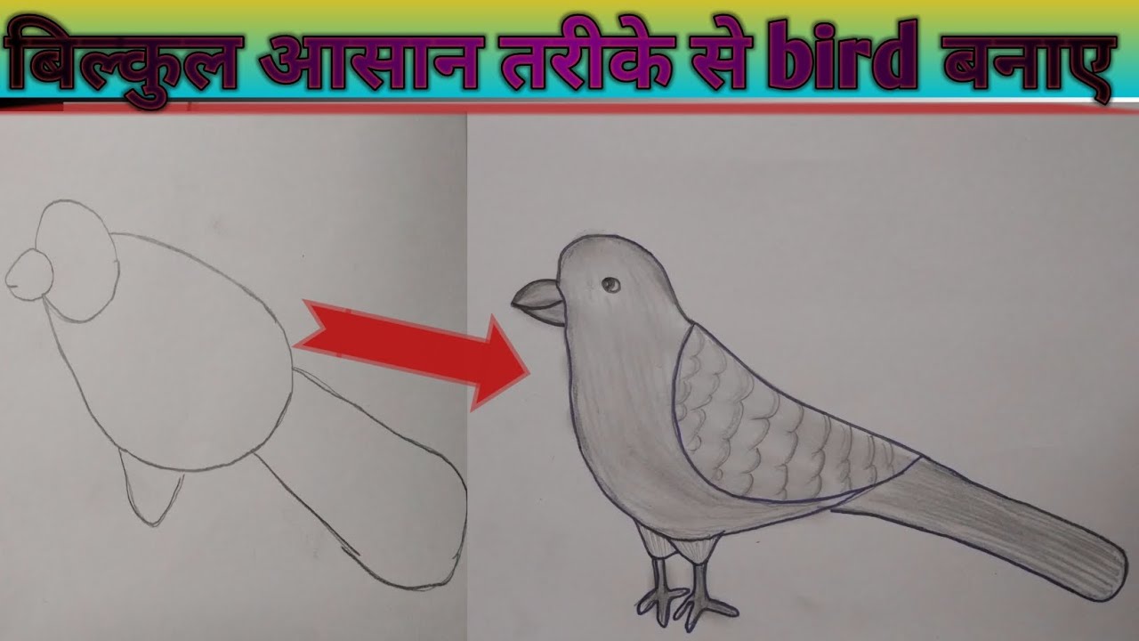 how to make a bird // bird drawing stap by stap// bird drawing - YouTube