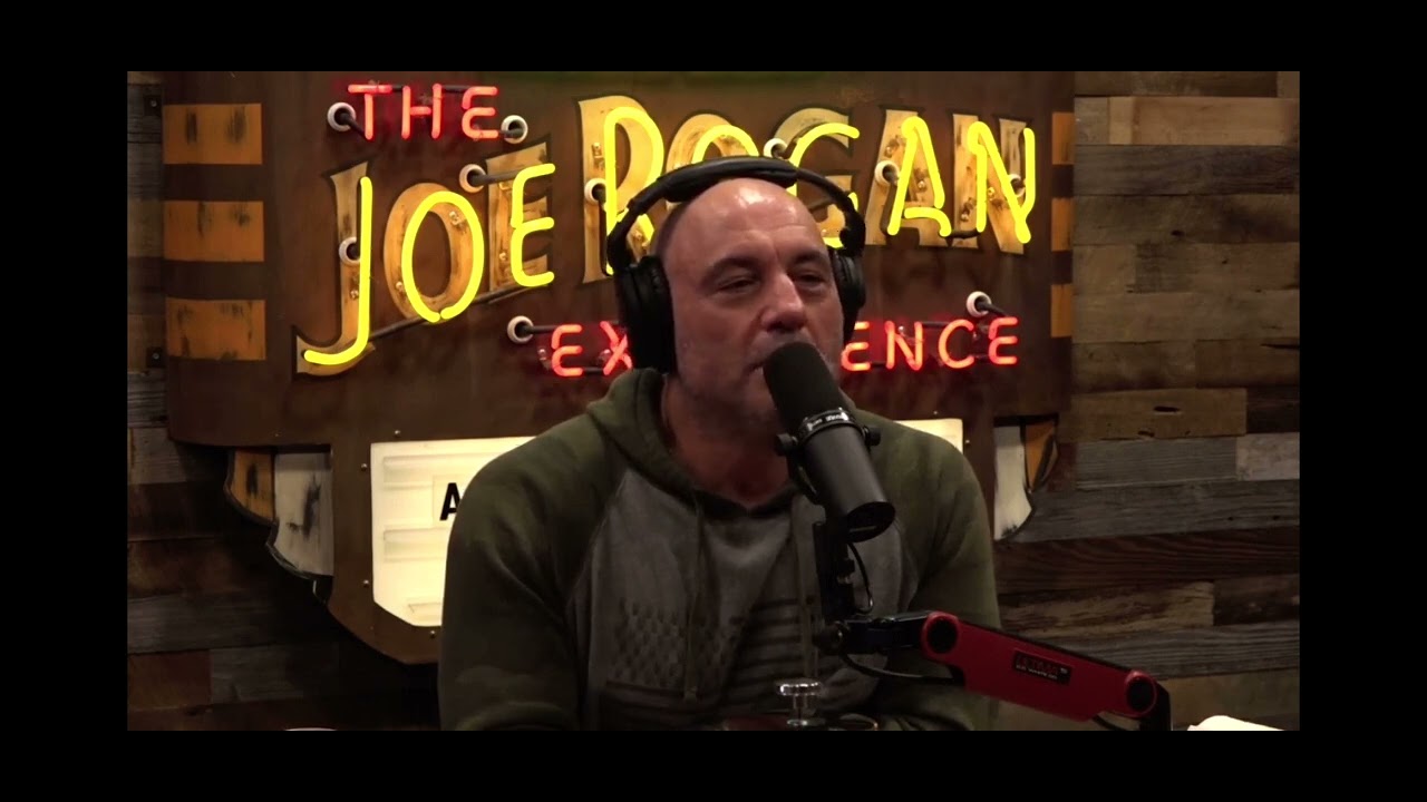 Tim Dillon Predicts the End of the USA on Joe Rogan - YouTube