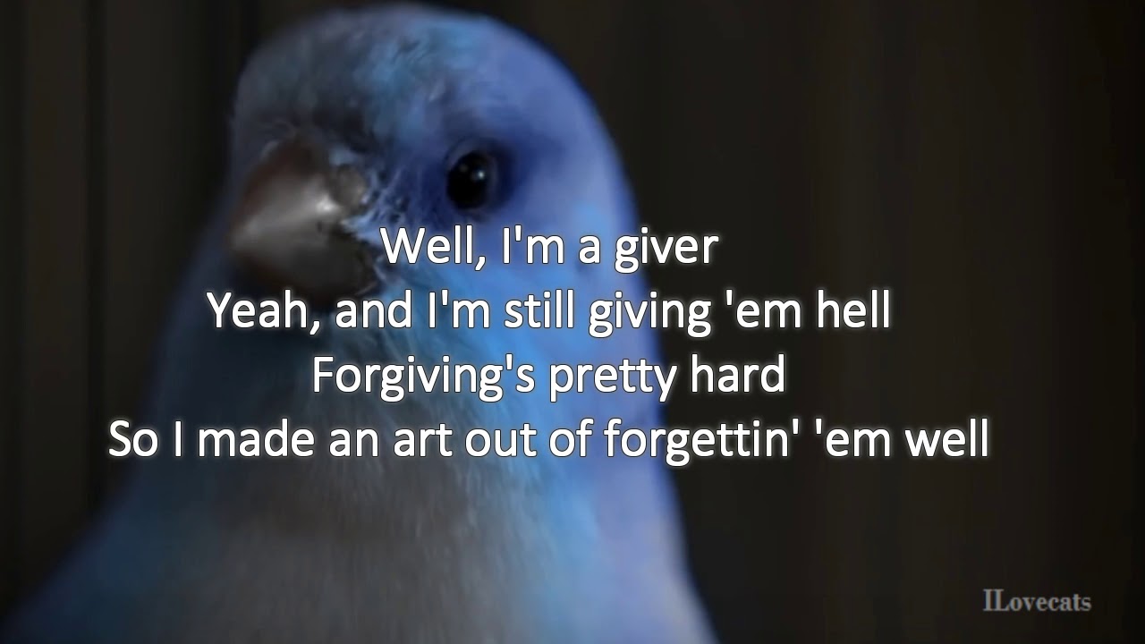 Miranda Lambert -Bluebird (lyrics) - YouTube