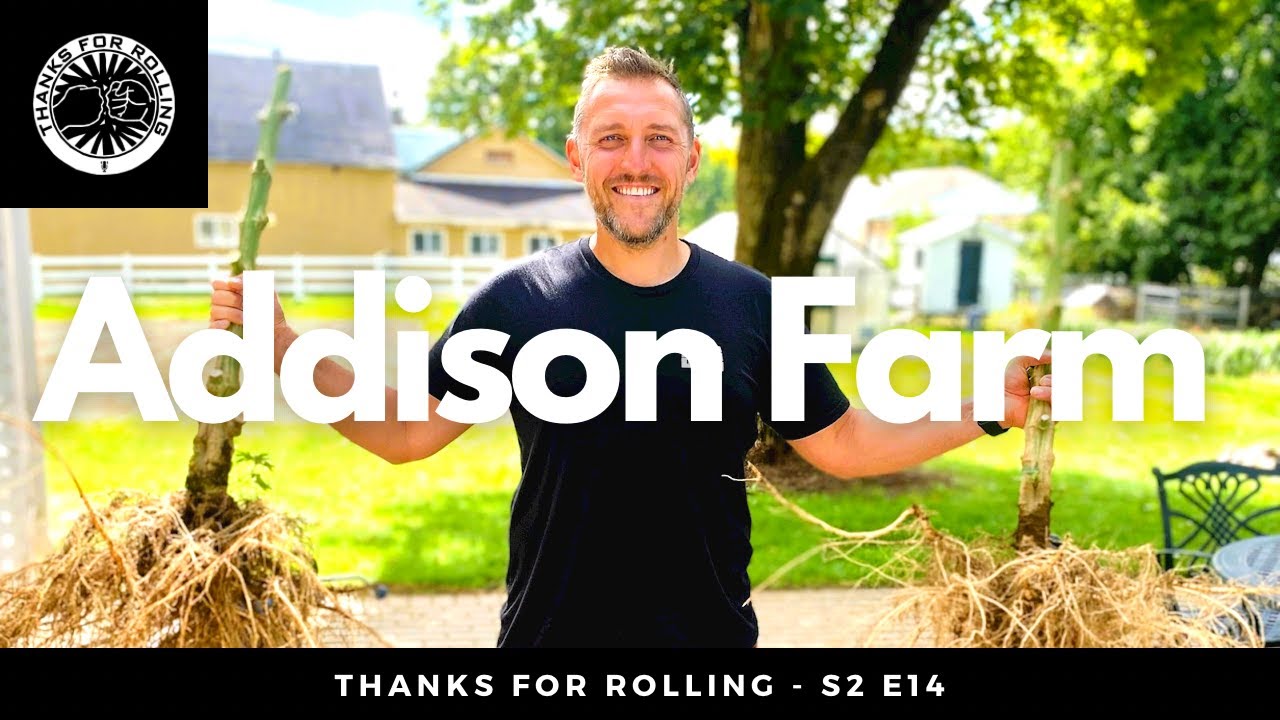 E33 - Andrew from Addison Farm - YouTube