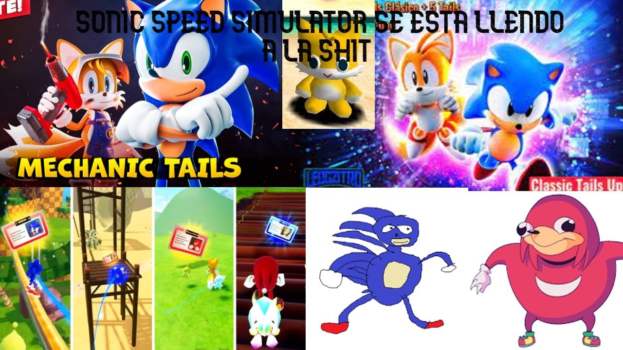 sonic speed simulator esta en decadencia - YouTube