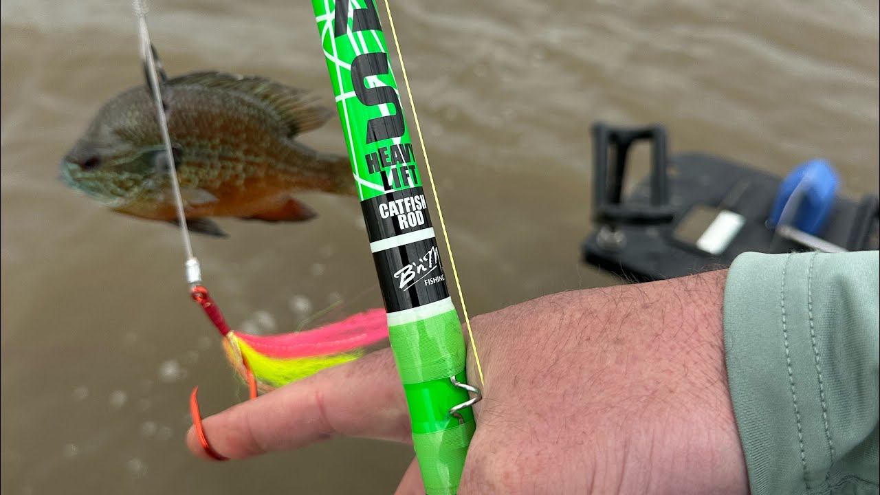Part 2 of Catfish Hunter’s Multi Carolina Stinger Fly Rig - YouTube
