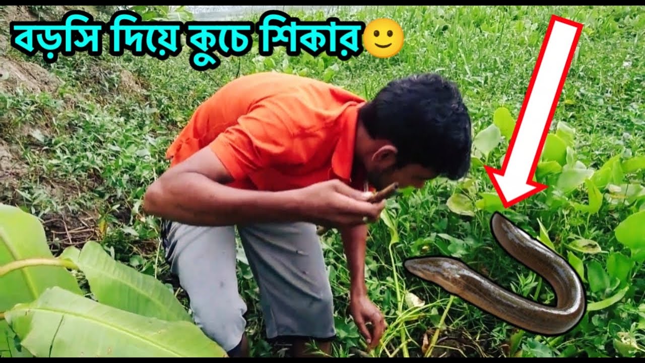 Hunting with the barasi || Village Hook Fishing _Originally Hook ...