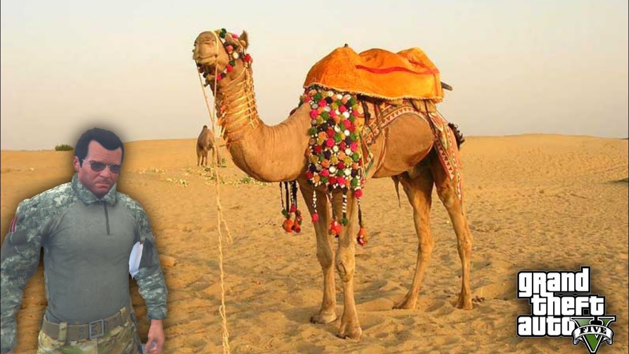 Gta V : Micheal Buying CAMEL In Gta 5 Rajasthan Camel Safari Gta V ...