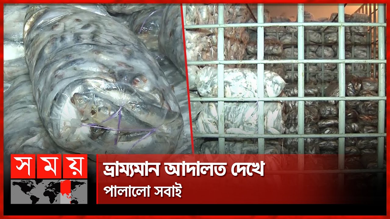 এতিমখানায় ২৫ টন জাটকা মাছ | Jatka Catching | Chattogram News | Jatka ...