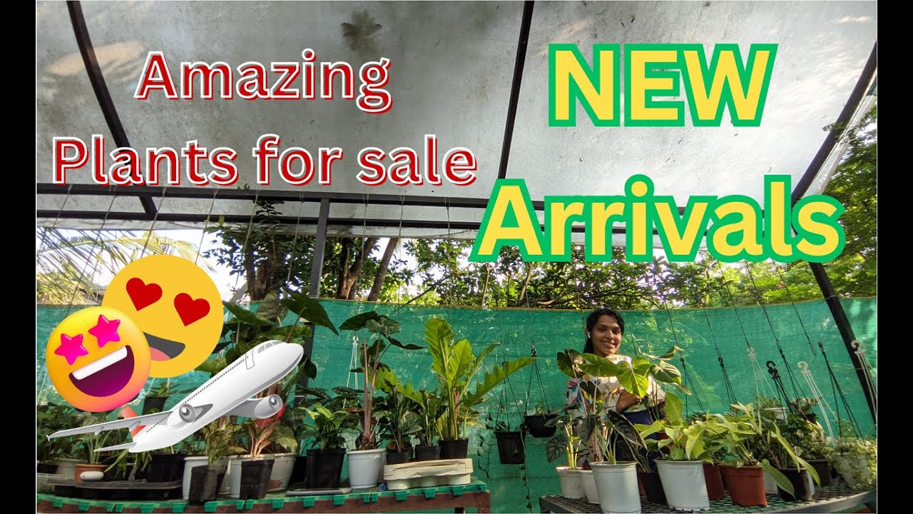 New plant arrivals at our Garden. Limited Sale!! - YouTube