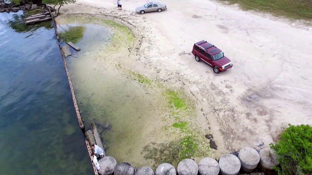 Gandy Bridge, 1000's Stingrays of Tampa Bay Aerial Footage - YouTube