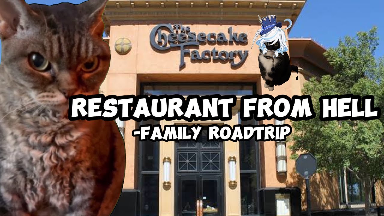 CAT MEMES: THE GREAT ADVENTURE ROADTRIP PT.3 - YouTube