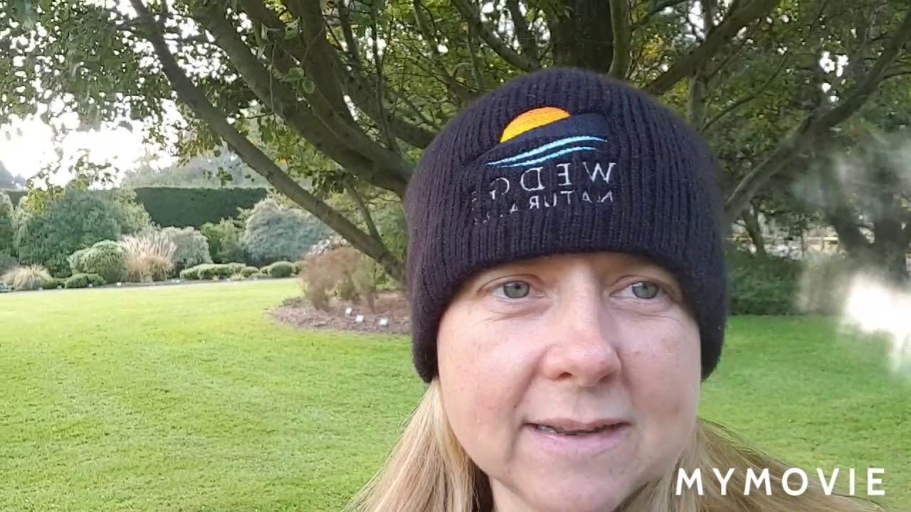 Daffodil Bay Invercargill - YouTube