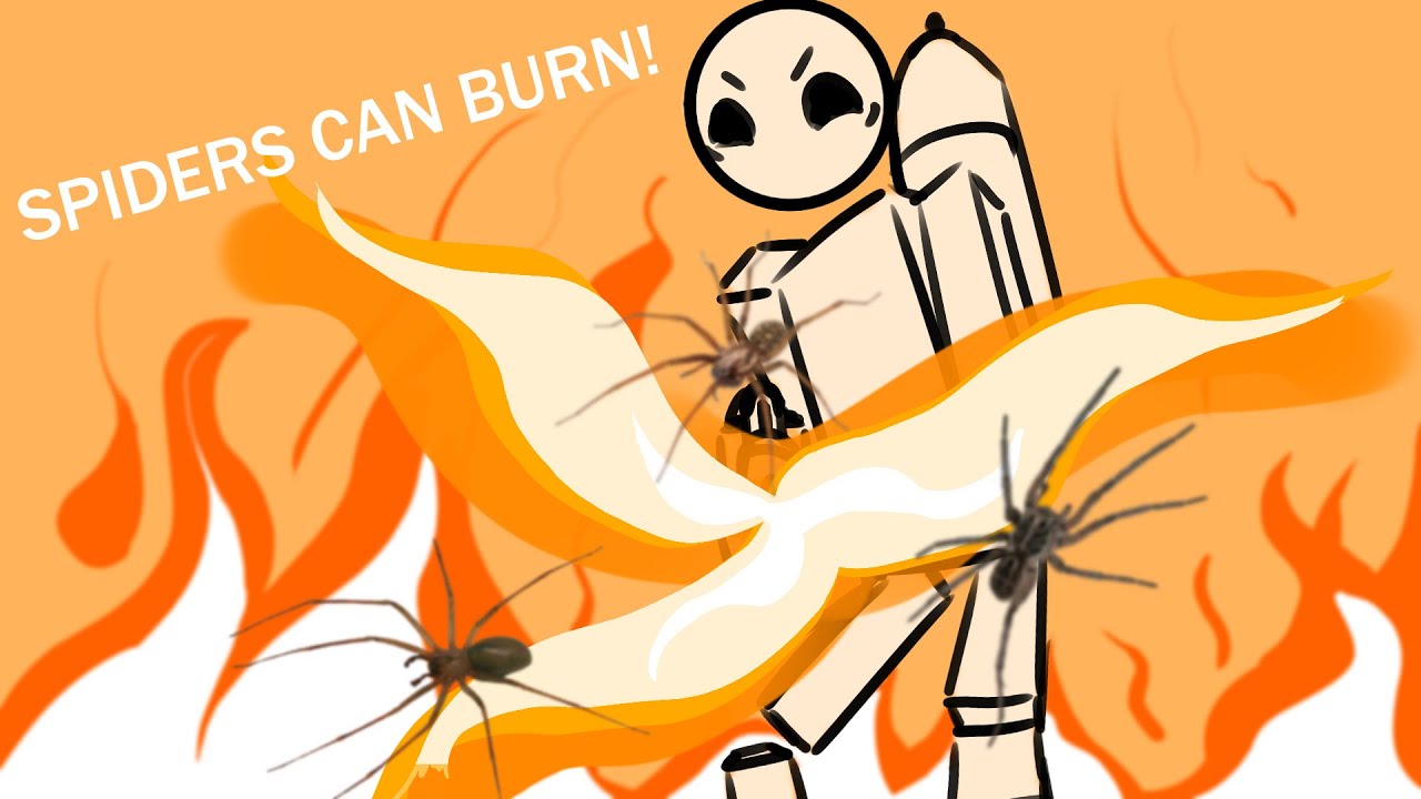 SPIDERS CAN BURN! - YouTube