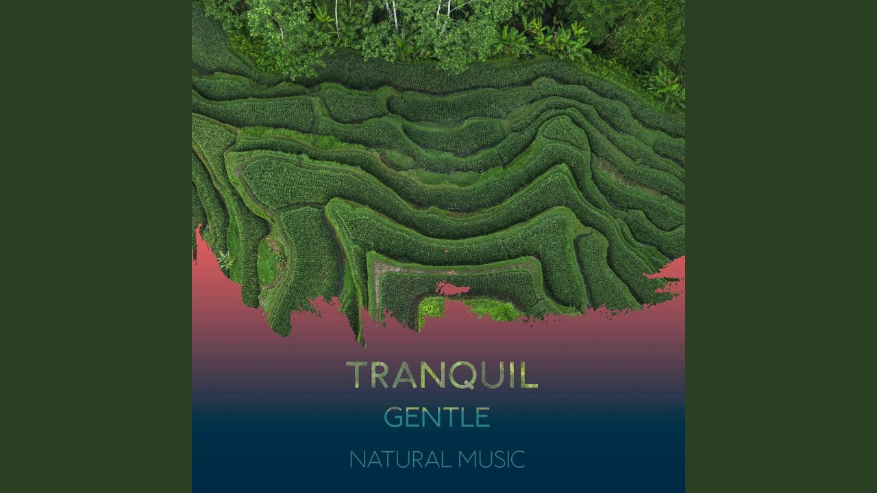 Summer Eclipse - YouTube Music