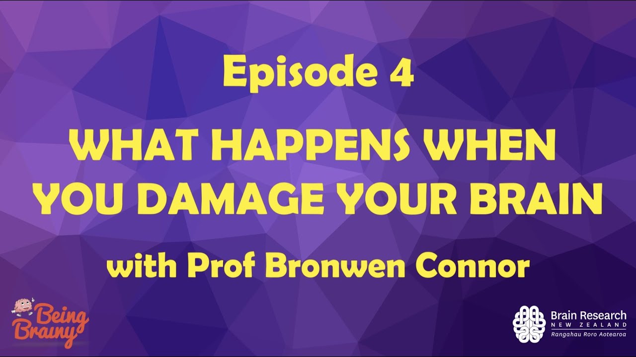 Episode 4: What happens when you damage your brain | The Being Brainy ...