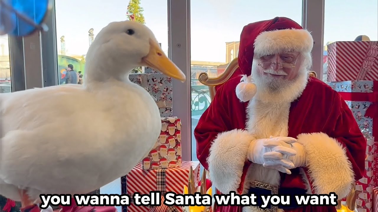 Duck X Santa (christmas collab) - YouTube