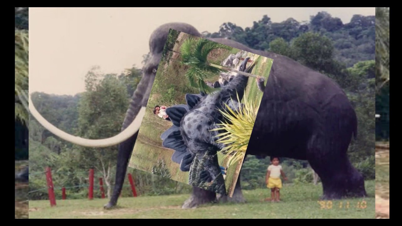 Kenapa Mimaland Ditutup ?? - YouTube