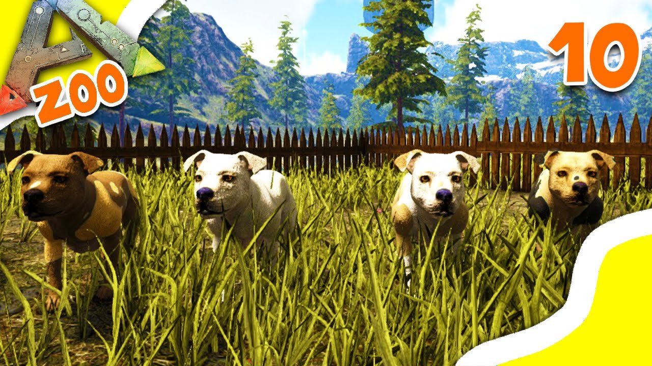 ARK ZOO: COMMENT AVOIR DES CHIENS SUR ARK?! #10🦒ARK SURVIVAL EVOLVED FR ...