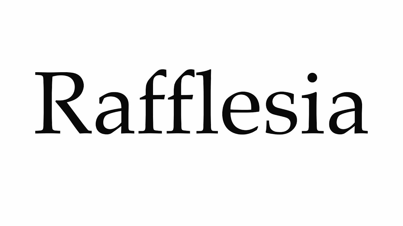 How to Pronounce Rafflesia - YouTube