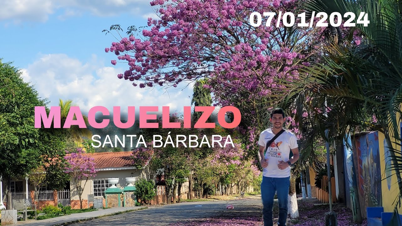 Macuelizo Santa Bárbara 2024 Árbol De Macuelizo, Azacualpa Valle ...