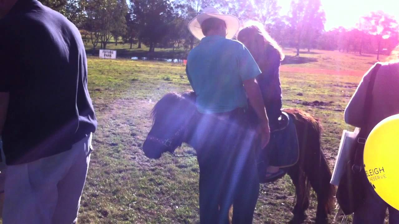 IMG 3510 YouTube img-3510-youtube