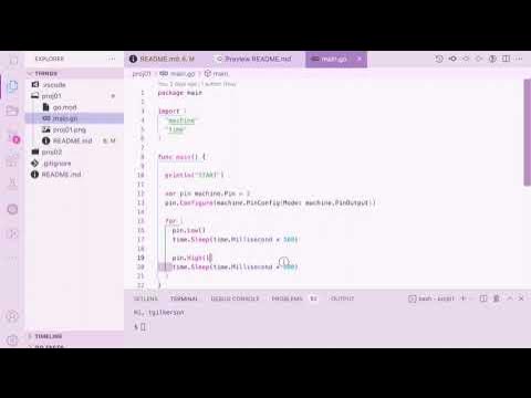 TinyGo ESP32 Hello World - YouTube