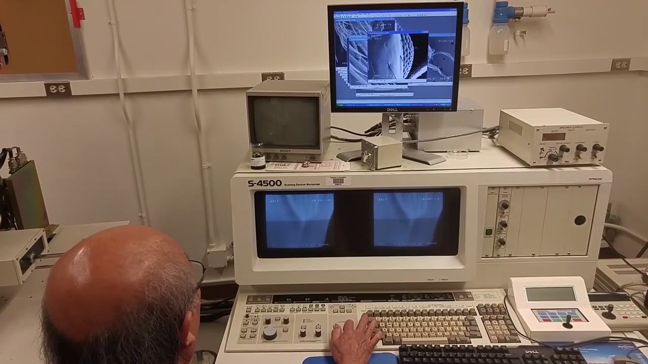 Hitachi S4500 Scanning Electron Microscope SEM (A# 37233) - YouTube