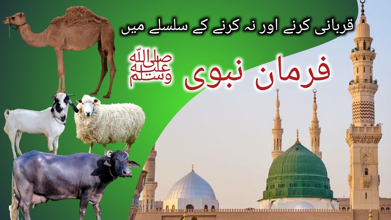 Qurbani Hadees ki roshni me | By: Mufti imdadullah qasmi Ghazipuri ...