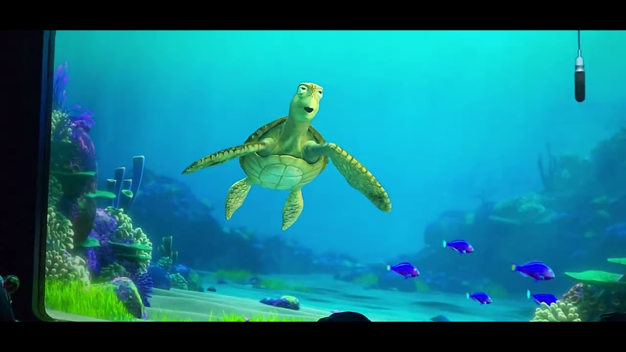 Turtle talk with CRUSH at Disneyland 2025 - YouTube