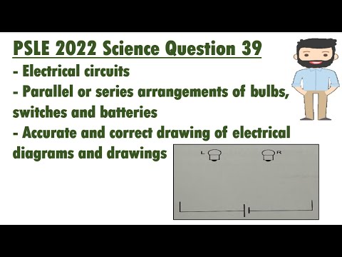 PSLE 2022 Science Question 39 Primary School Leaving Examination ...