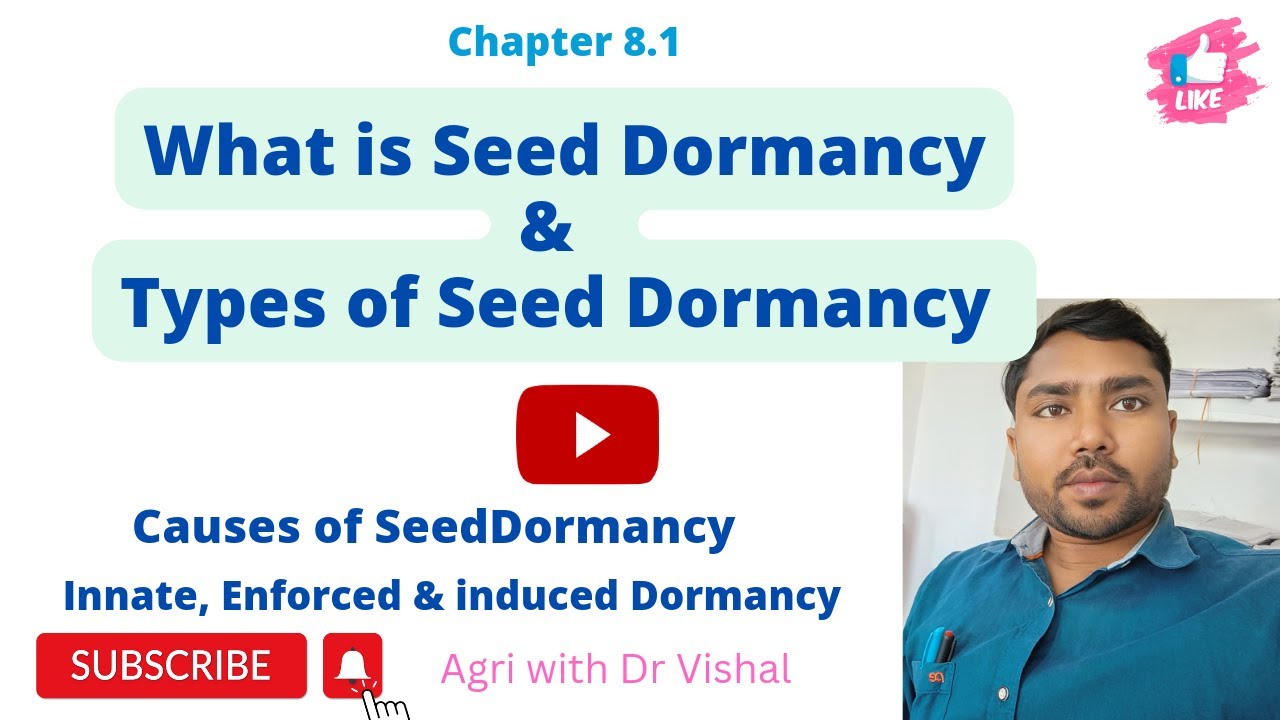 Chapter 8.1: What is Seed Dormancy & Types of Seed Dormancy l Methods ...
