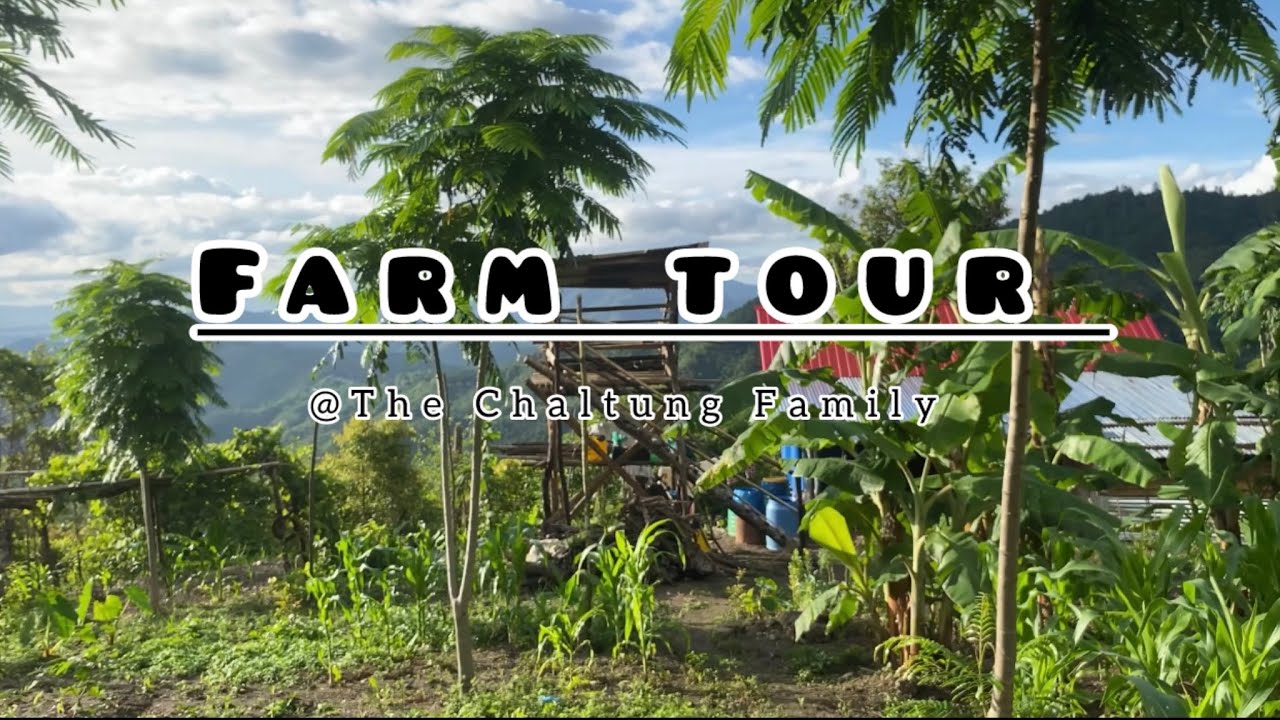 Exploring the Farm 🧑‍🌾and fresh produce🍇🍌🌼on today’s farm tour!!🌱 ...