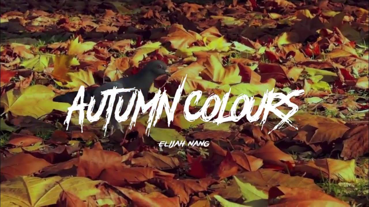 Elijah Nang - Autumn Colours - YouTube Music